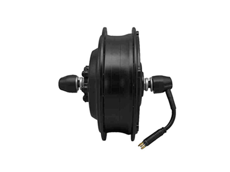 Ebike Rear Motor: Suzhou Shengyi Motor Co., Ltd